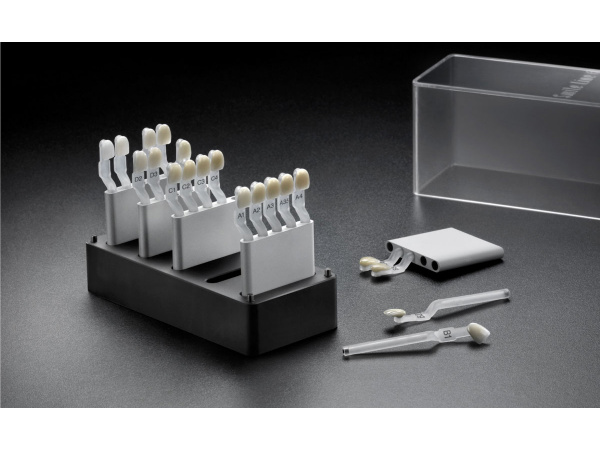 Smile Line My Shade Guide Komplettset | Gold Quadrat Dental